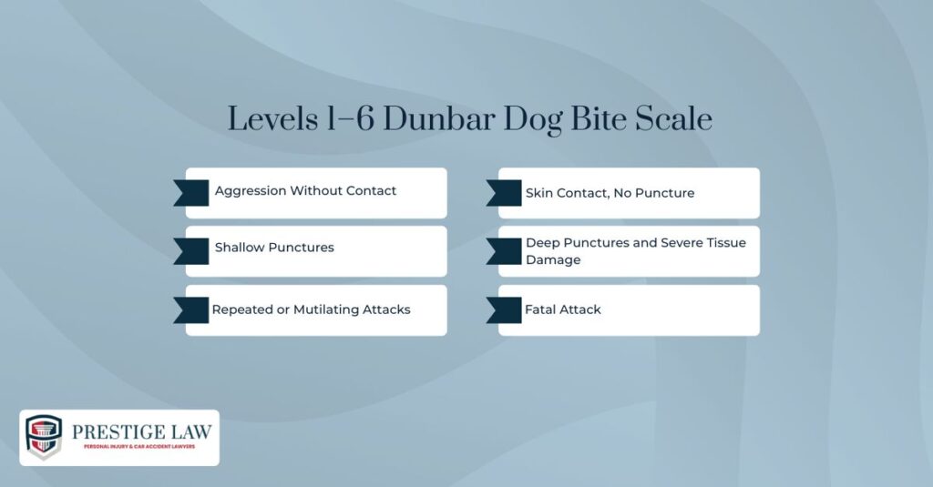 Dog Bite Injury Grades: What They Mean Legally
